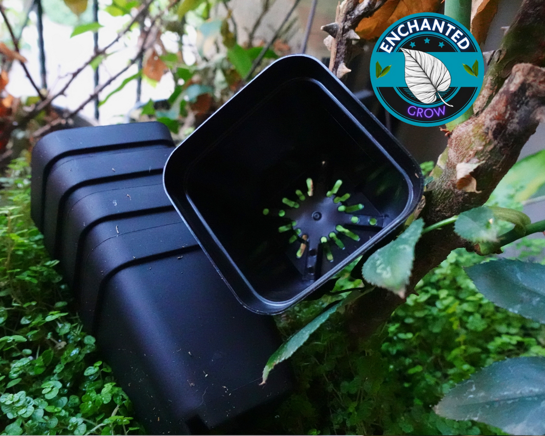 Products – Enchanted Grow